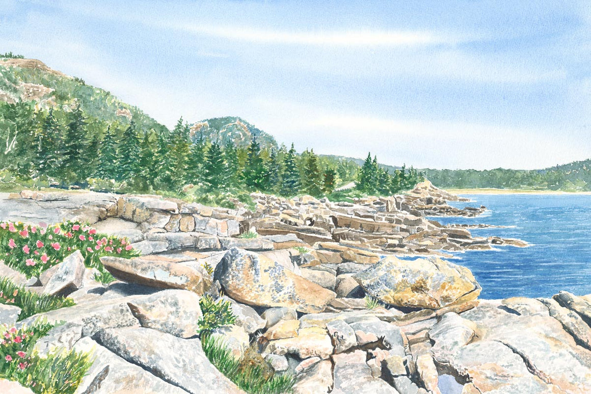 Fine art and custom framing in Camden, Maine featuring local artists ...