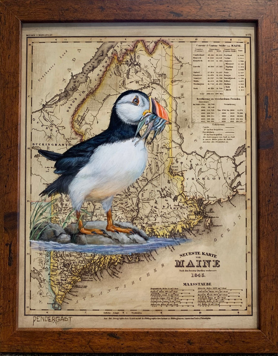 Maine Puffin on Maine Map – Small Wonder Gallery